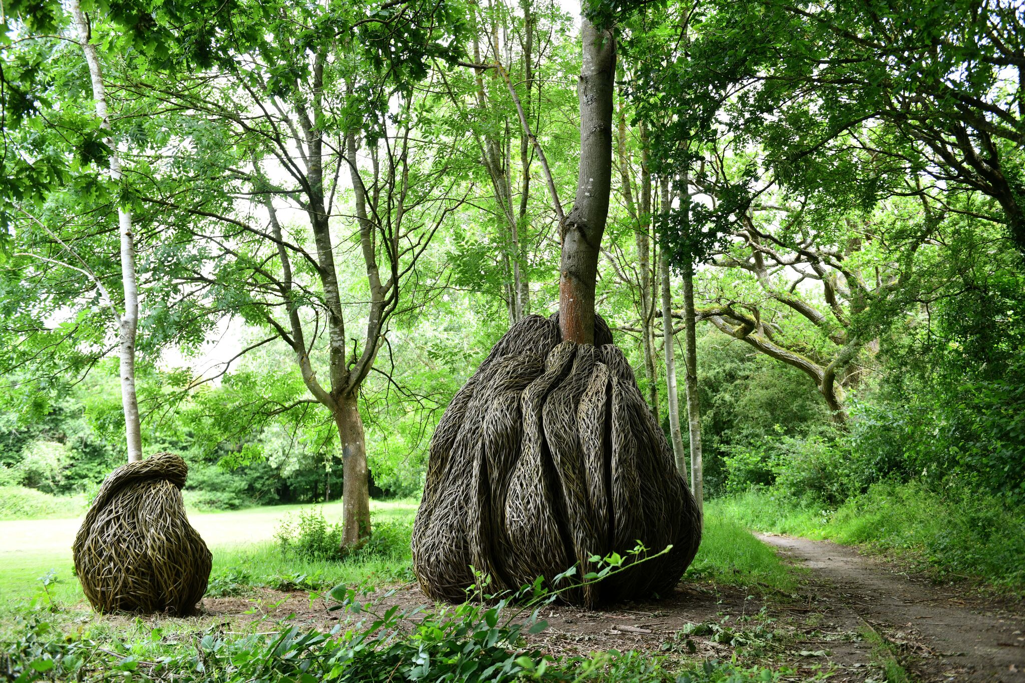 News: Willow Weaving Homes for Wildlife | Warwick Arts Centre