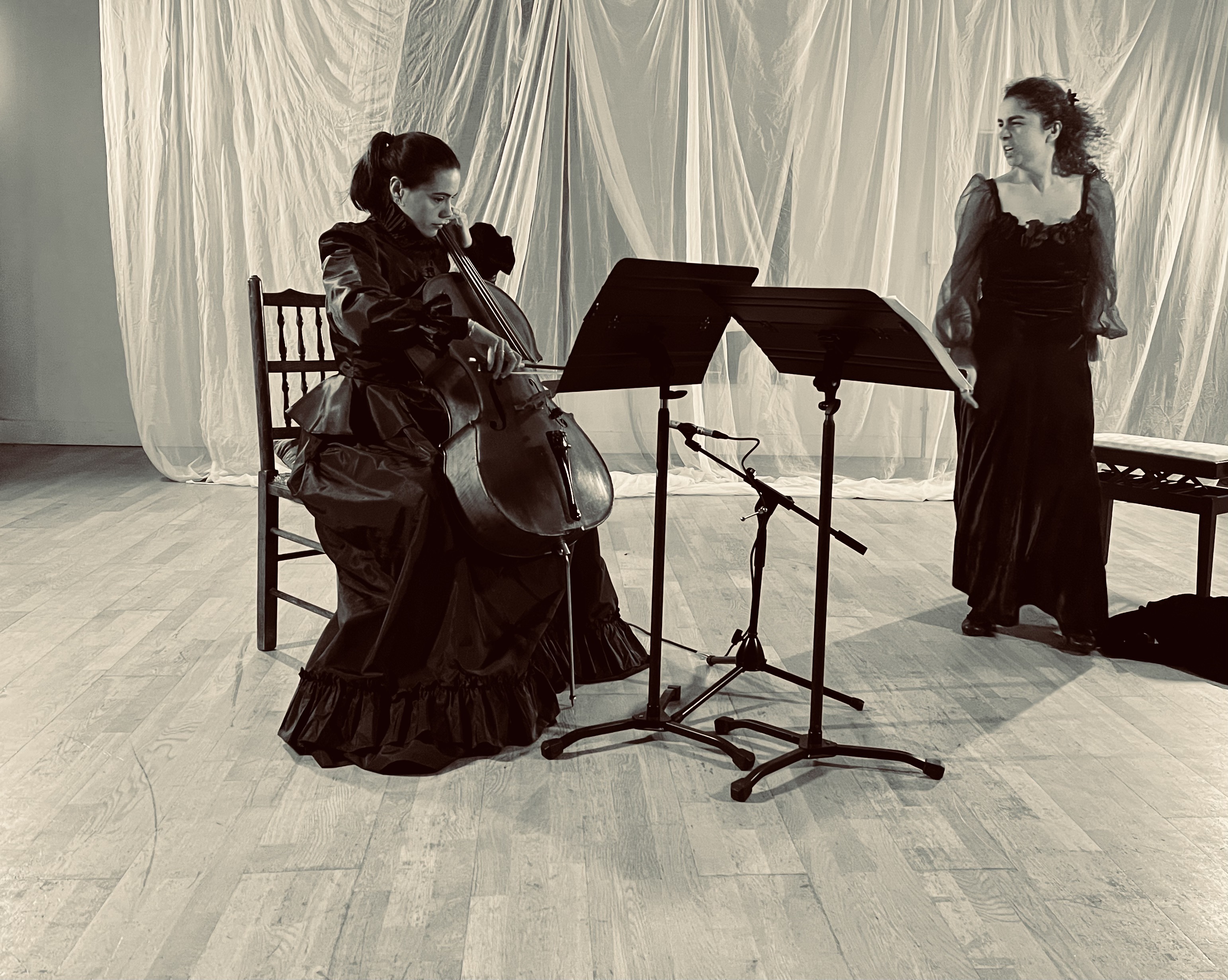 Knibbs & Howard Present: Ethel Smyth, The Stormy Petrel | Warwick Arts ...